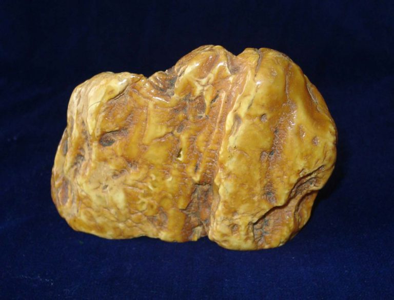 Gintaro ekspozicija „Nuo gintaro susidarymo iki unikalių šiuolaikinių ...